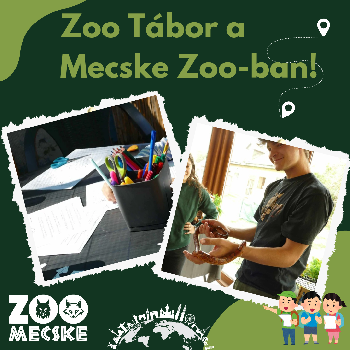ZOO TÁBOR :: Mecske Zoo