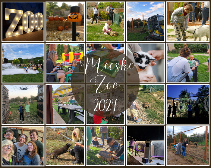 GOODBYE 2024 :: Mecske Zoo